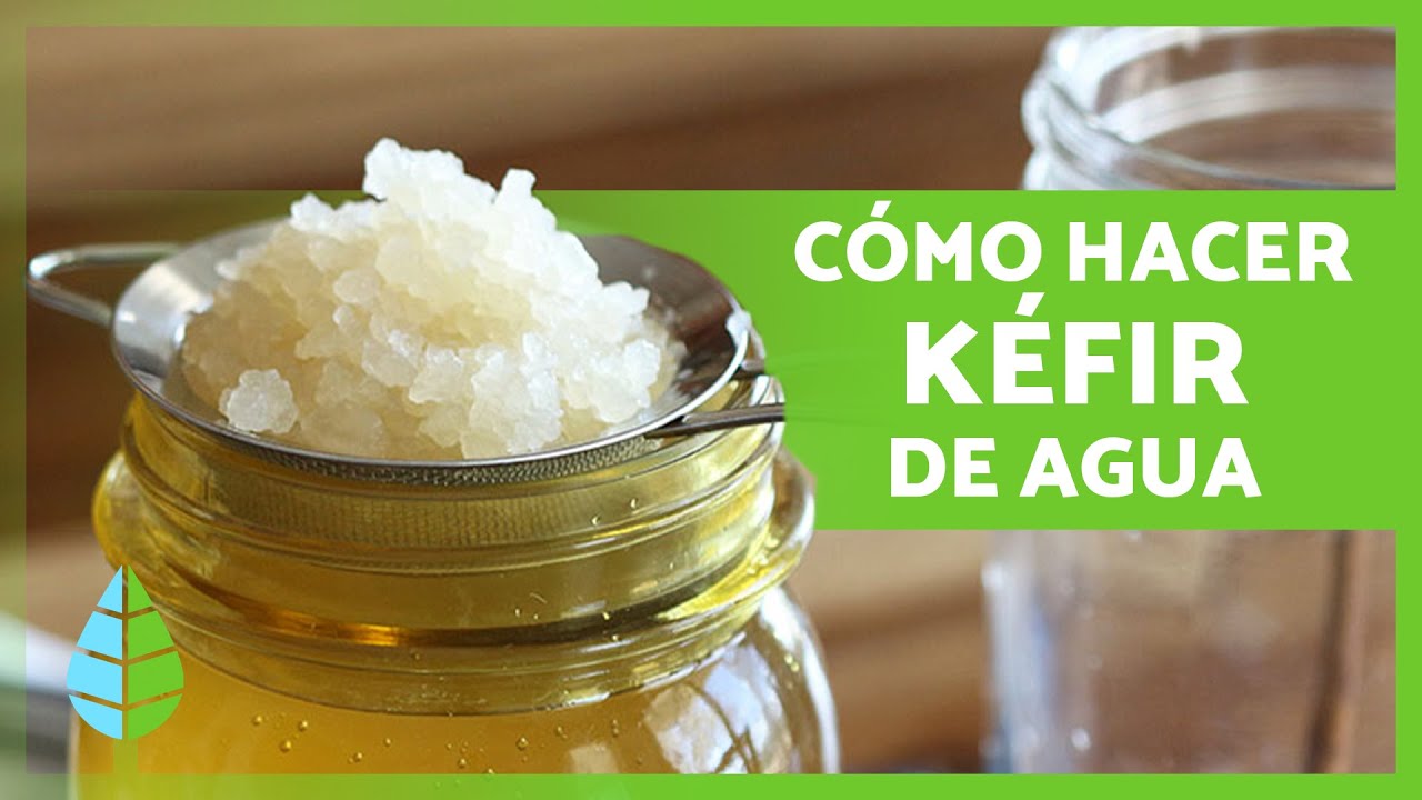 Descubre las propiedades y beneficios del kefir de agua y cómo ...