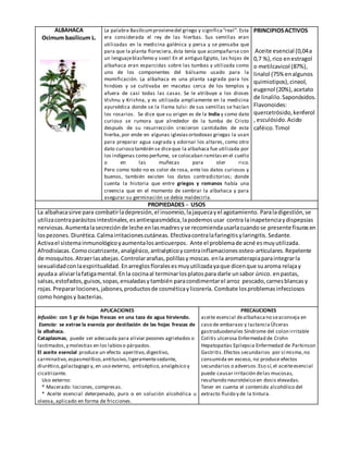 Descubre las propiedades y contraindicaciones de la Pulmonaria, una ...